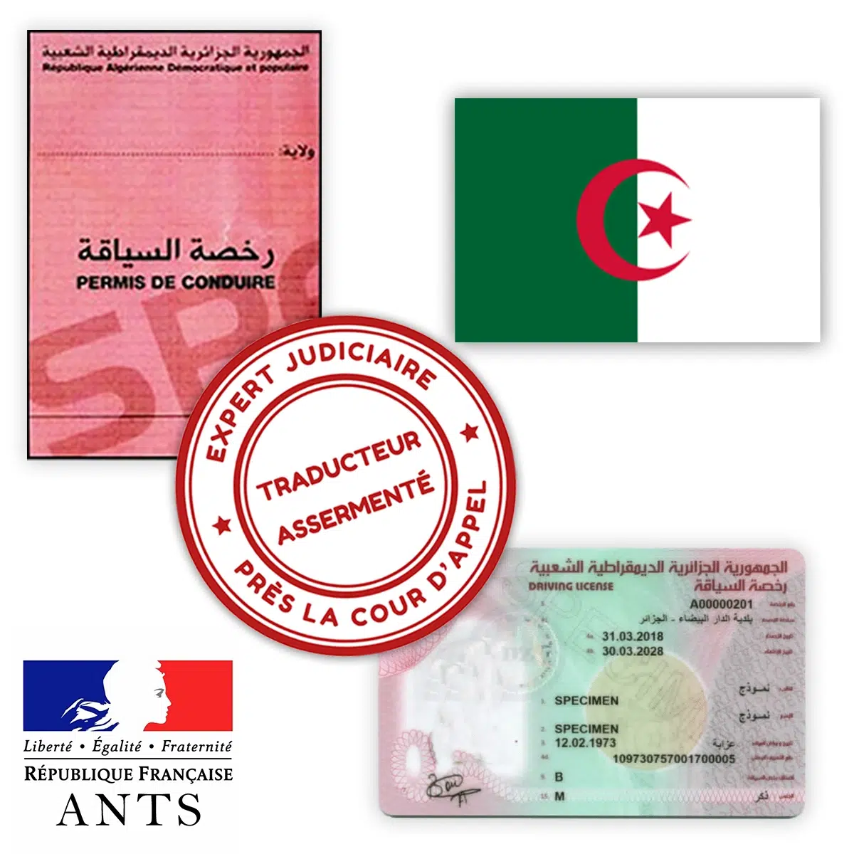 Traduction assermentée permis de conduire Algérien - Lexicalis